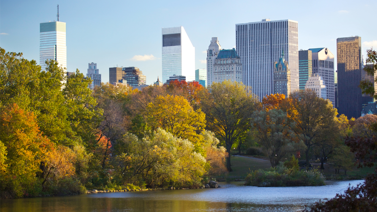 Everyone Loves A Good Park - Why Parks are Valuable to Communities ...
