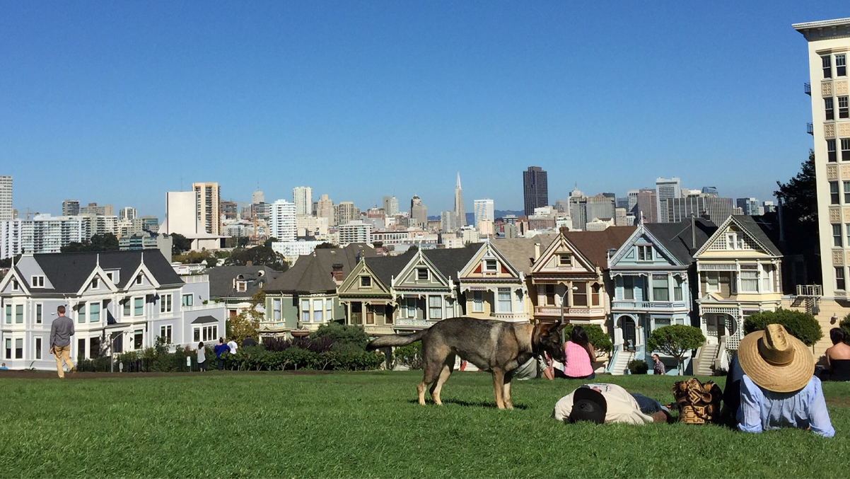 Everyone Loves A Good Park - Why Parks are Valuable to Communities ...