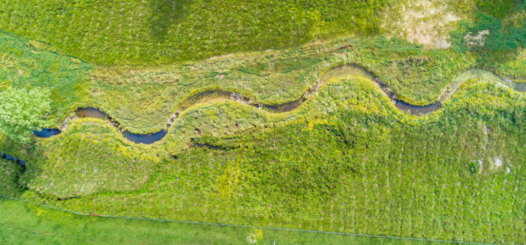 Sandy Branch Stream Restoration - Summit Design and Engineering Services